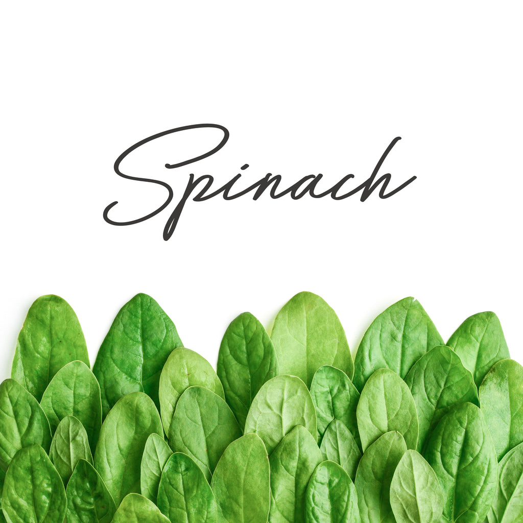 Ingredient Of The Week: Spinach Extract – Eve Hansen