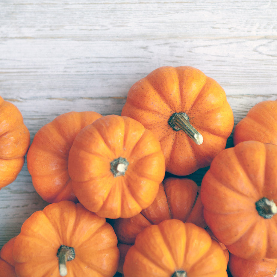 Ingredient of the Week: Pumpkin! 🎃 – Eve Hansen